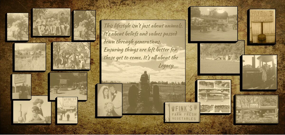 Meet The Fink’s - Fink's Country Farm