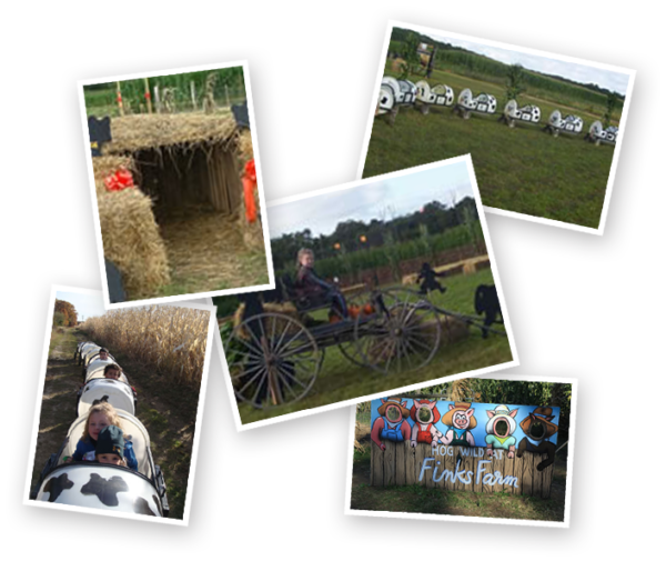 Home - Fink's Country Farm