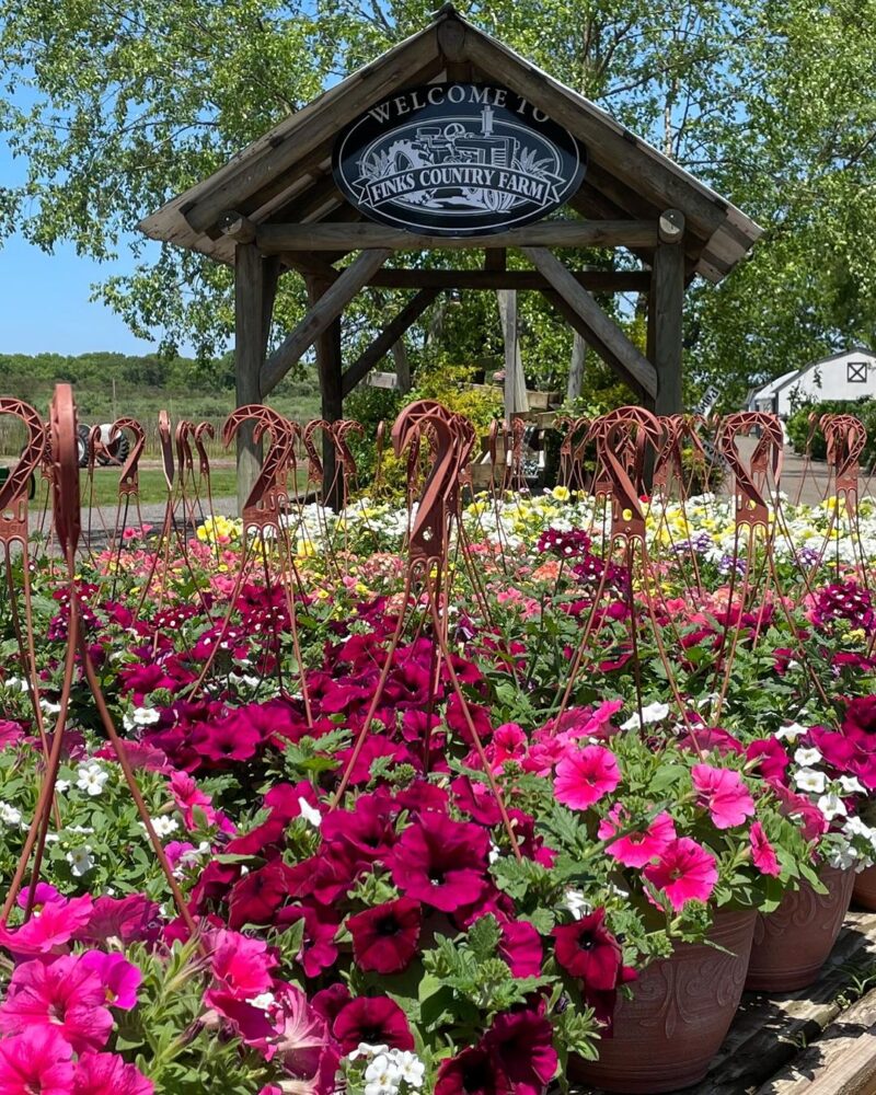 Home - Fink's Country Farm